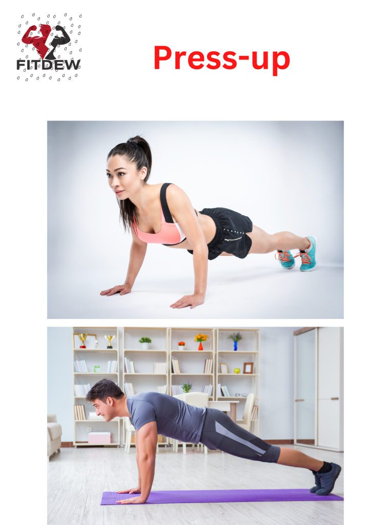 Workout for beginners at home - Fitdew