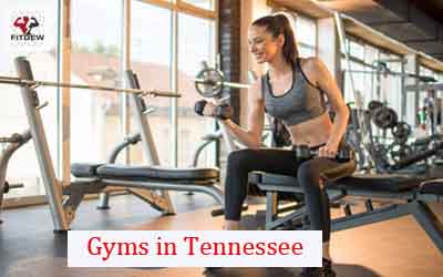 10 Best Gyms in Tennessee - Fitdew