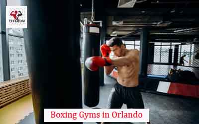 8 Best Boxing Gyms in Orlando - Fitdew