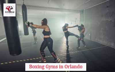 8 Best Boxing Gyms in Orlando - Fitdew
