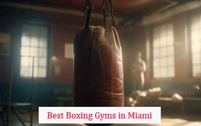 12 Best Boxing Gyms in Miami - Fitdew
