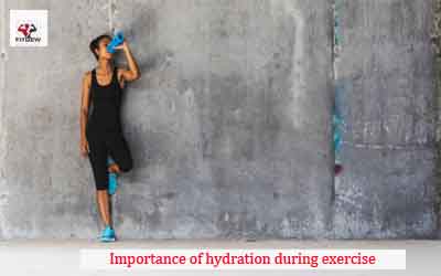 Importance of hydration during exercise - Fitdew