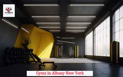5 Top Gyms in Albany New York - Fitdew
