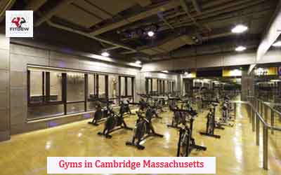 6 Best Gyms in Cambridge Massachusetts - Fitdew INITIATIVE