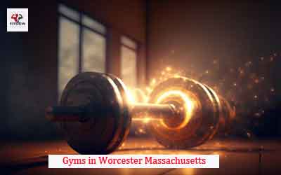 5 Best Gyms in Worcester Massachusetts - Fitdew INITIATIVE