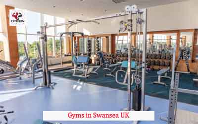 4 Best Gyms in Swansea UK - Fitdew INITIATIVE