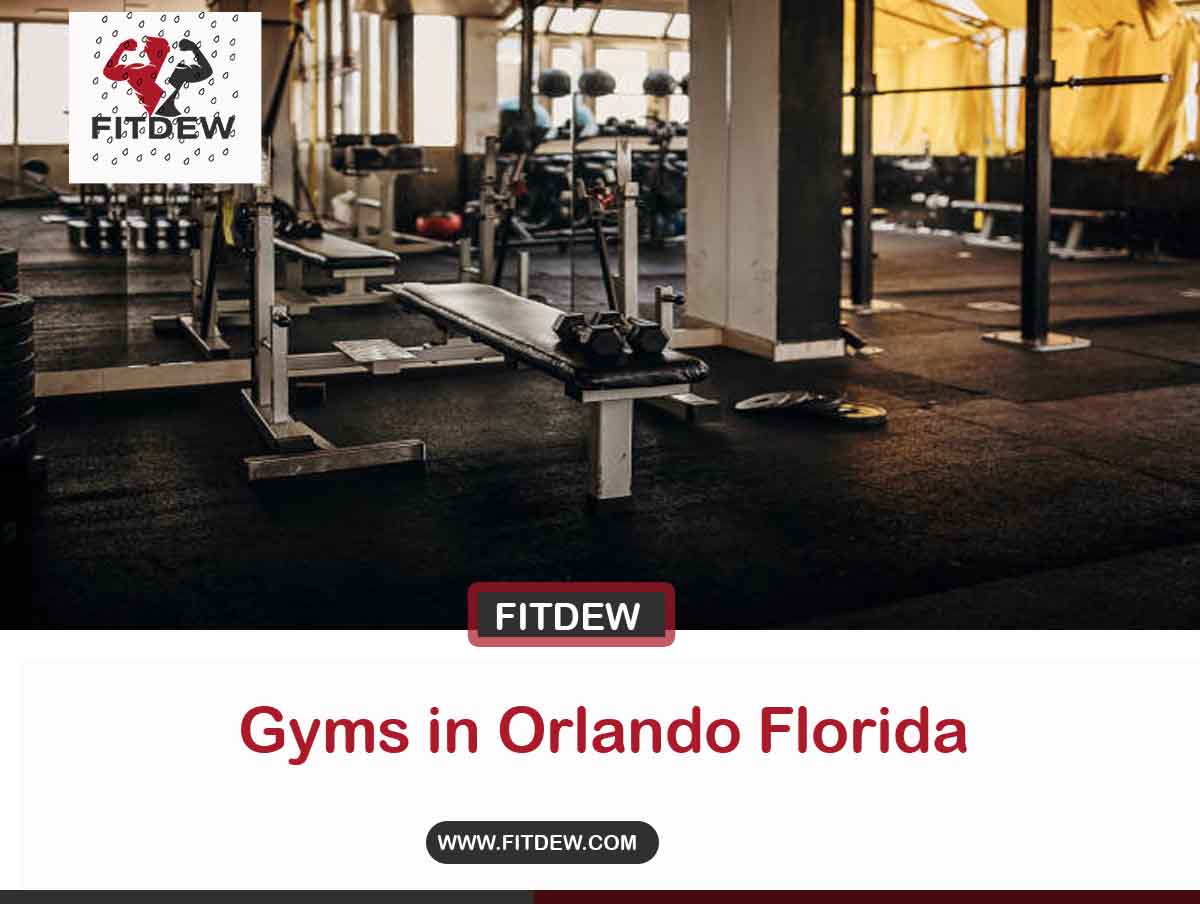 5 Best Gyms in Orlando Florida - Fitdew