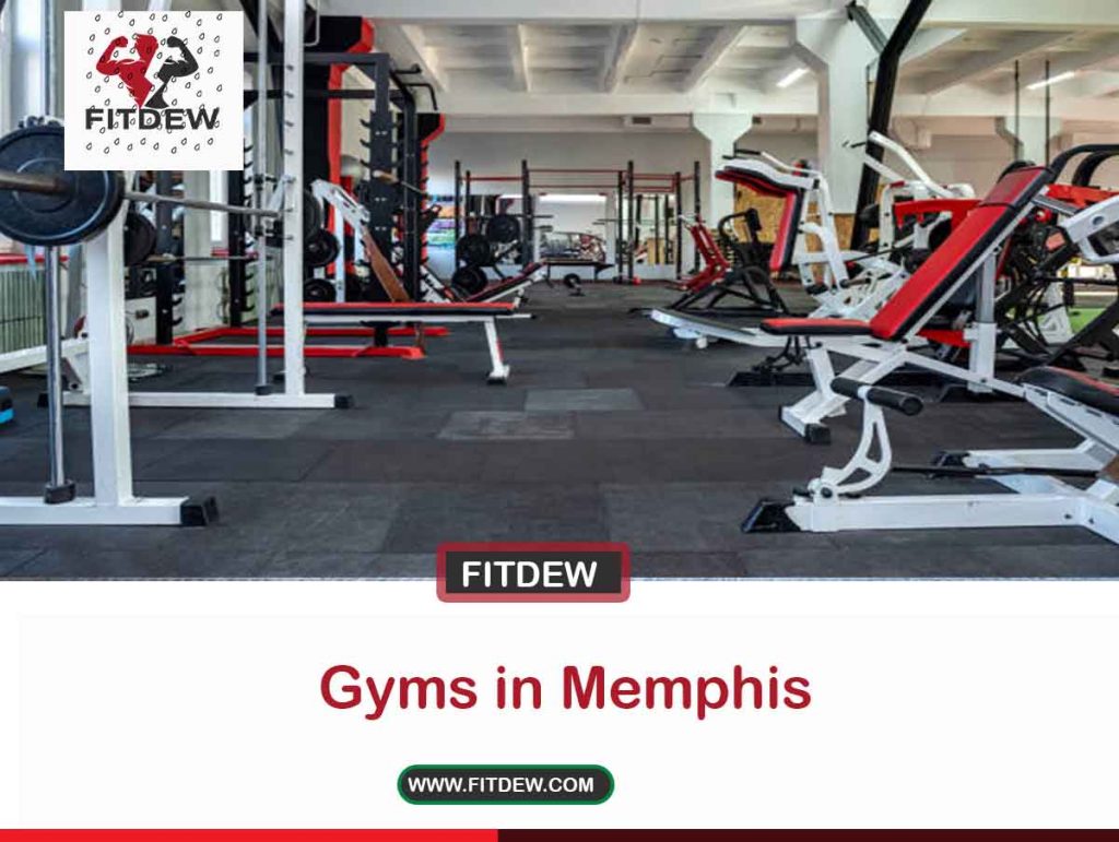 4 Best Gyms in Memphis - Fitdew