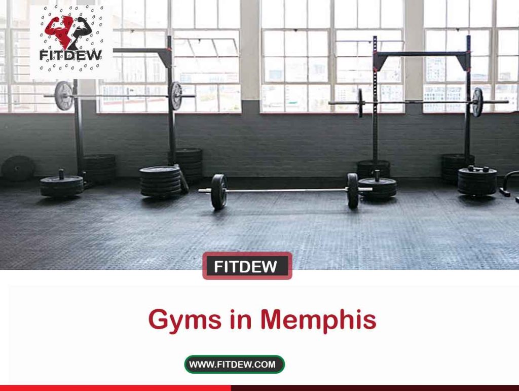 4 Best Gyms in Memphis - Fitdew