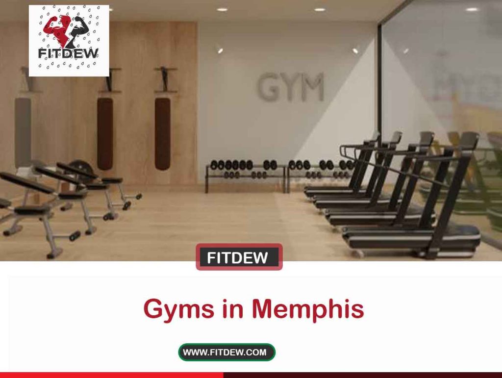 4 Best Gyms in Memphis - Fitdew INITIATIVE