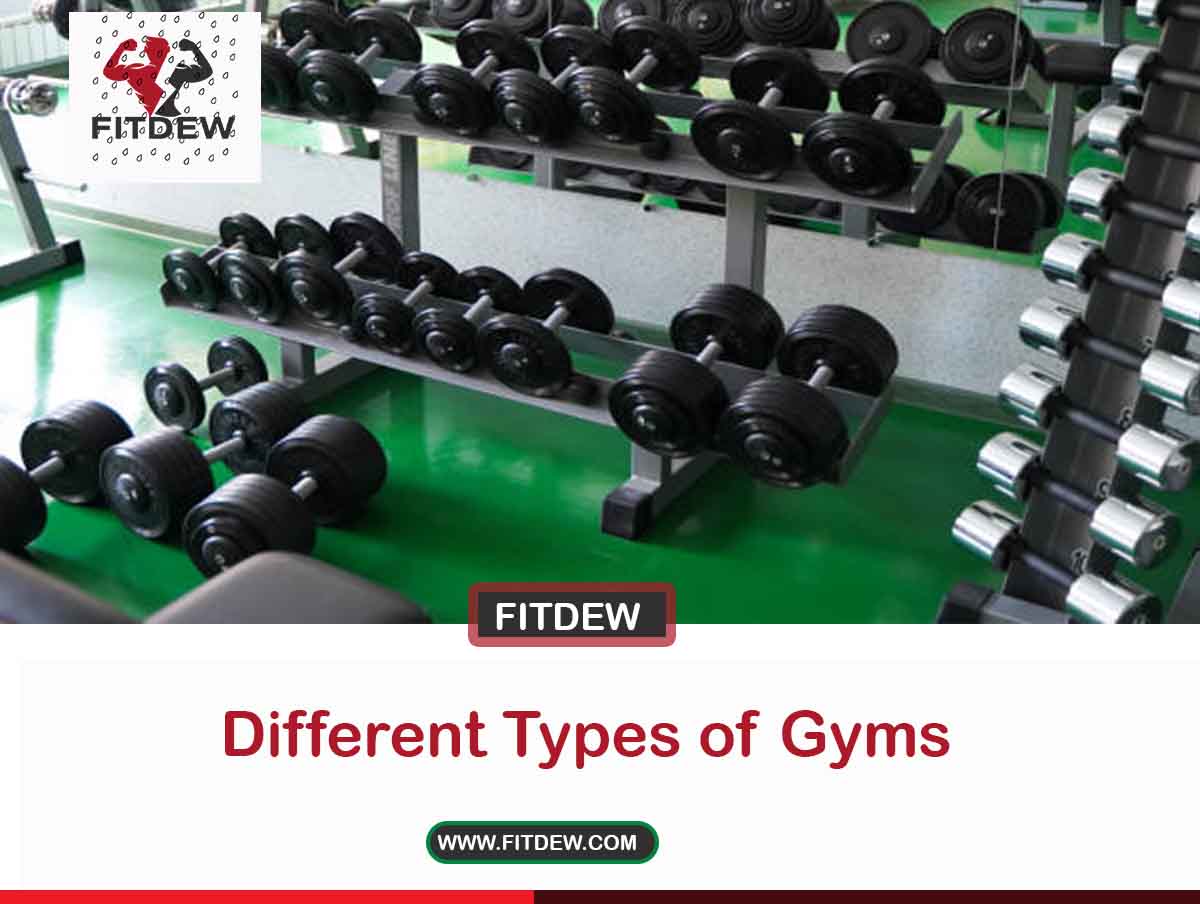 25 Different Types of Gyms (A Must Read Before You Get Started With ...