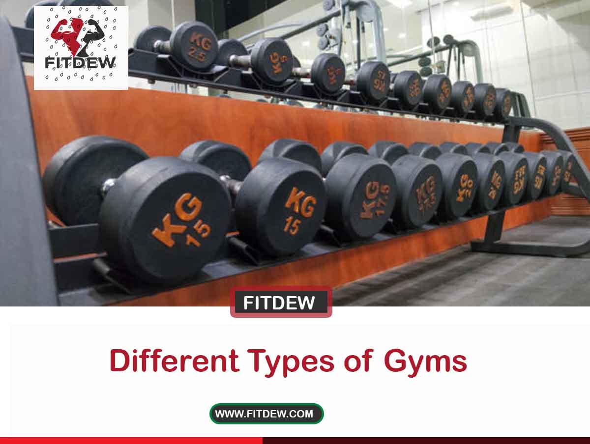 25 Different Types of Gyms (A Must Read Before You Get Started With ...