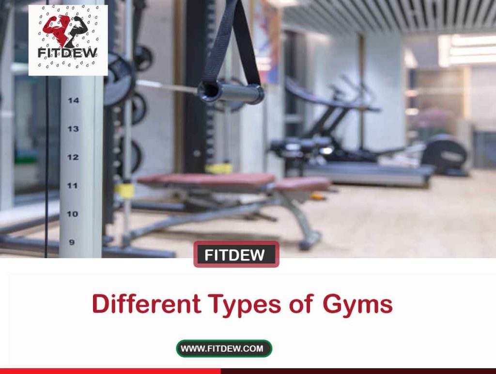 25 Different Types of Gyms (A Must Read Before You Get Started With ...