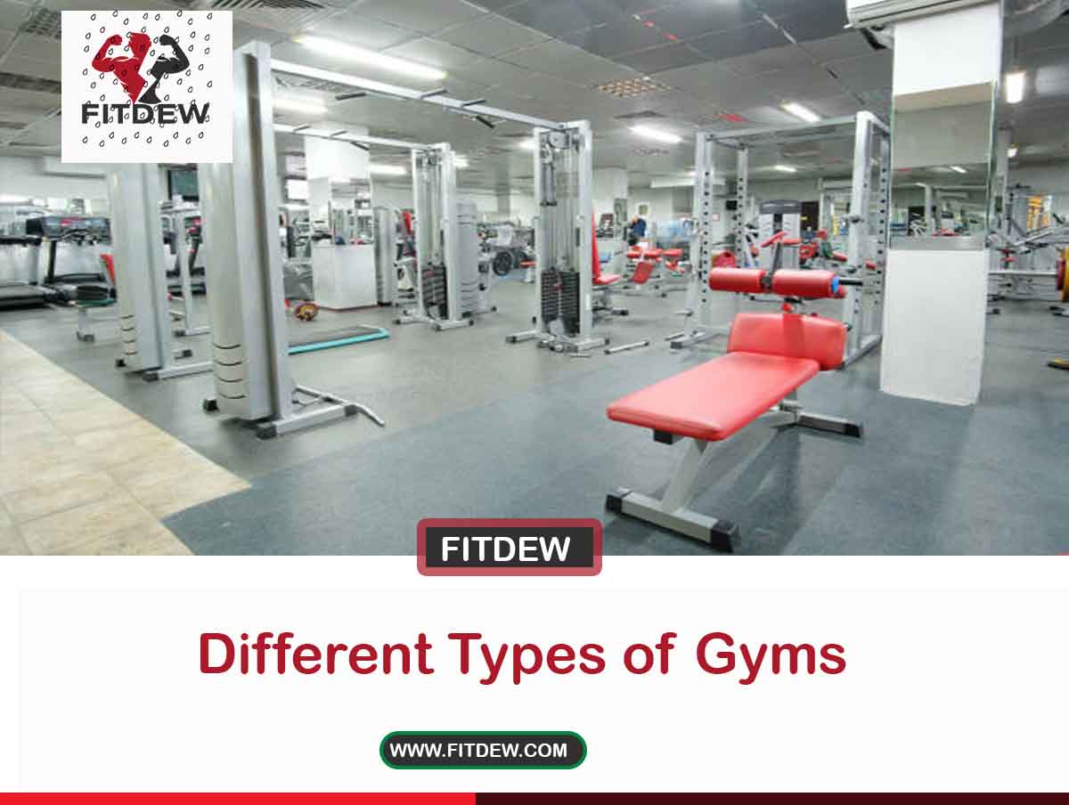 25 Different Types of Gyms (A Must Read Before You Get Started With ...