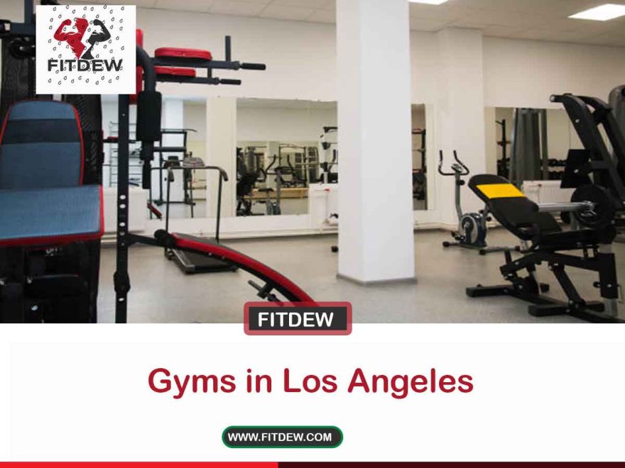 19 Best Gyms in Los Angeles - Fitdew