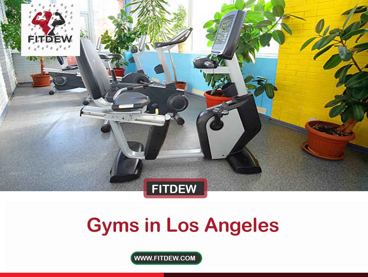 19 Best Gyms in Los Angeles - Fitdew