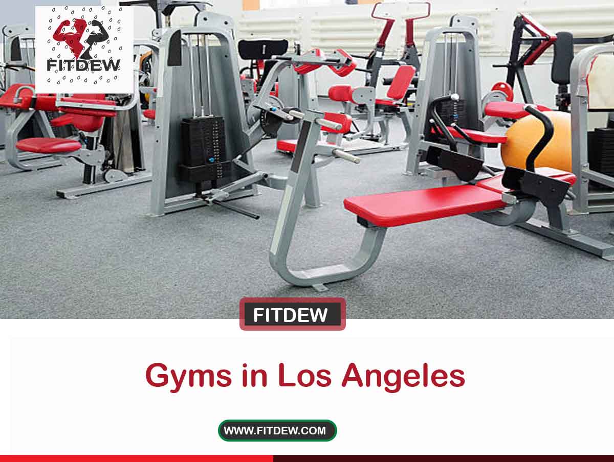 19 Best Gyms in Los Angeles - Fitdew