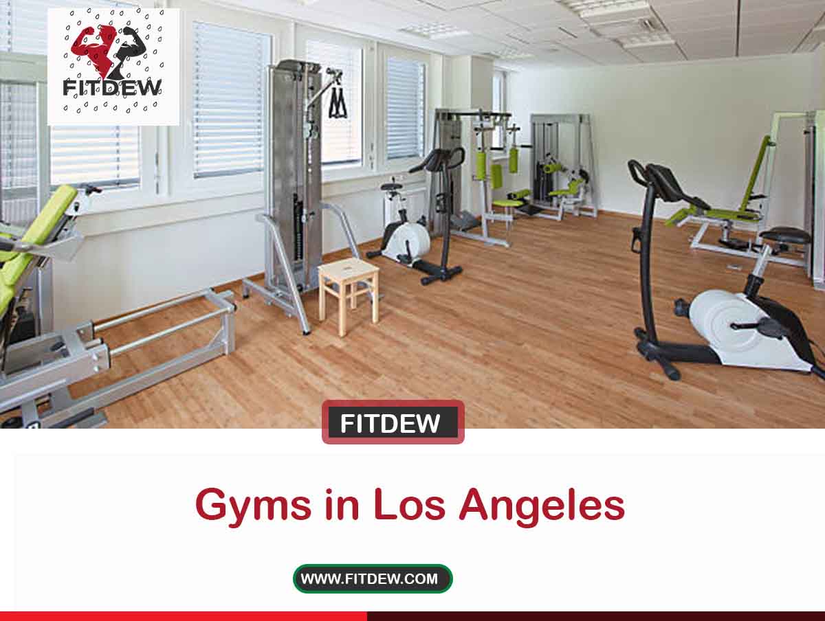 19 Best Gyms in Los Angeles - Fitdew