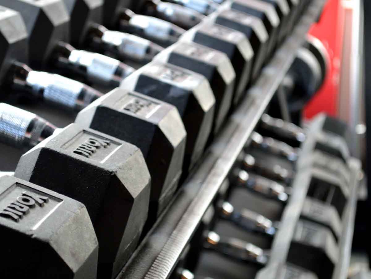 6 Best Gyms in Wilson - Fitdew
